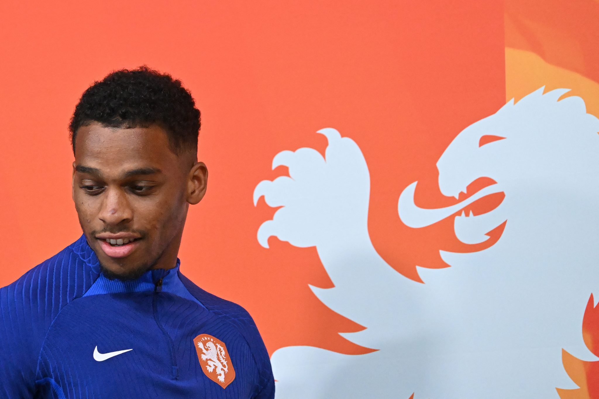 Netherlands’ Timber ruled out of World Cup